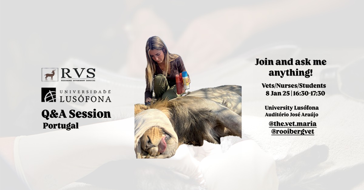 Conversa com Dr.ª Maria Caiado: Inspiração e Dicas na Medicina de Vida ...