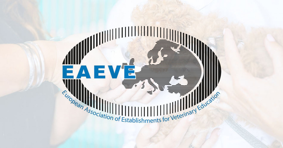 Curso de Medicina Veterinária da Lusófona com Aprovação Europeia (EAEVE ...